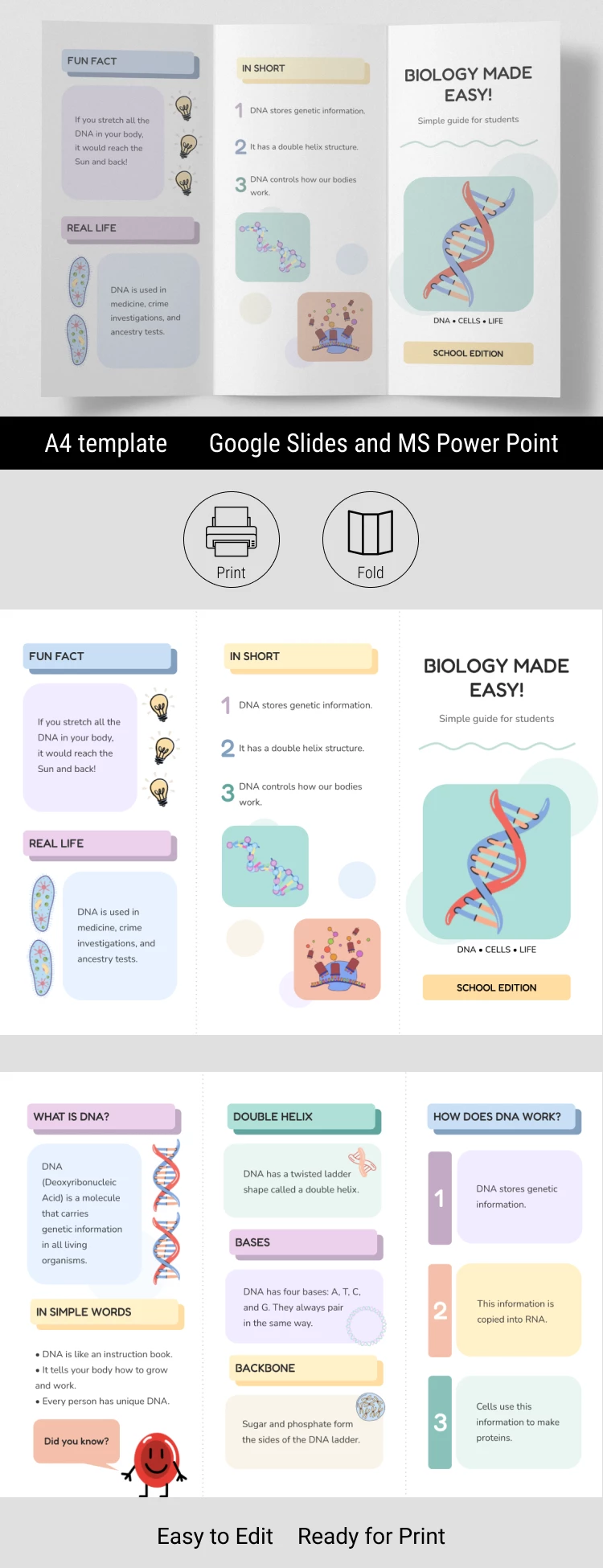 Free Biology Brochure Example for School Project Template in Google ...