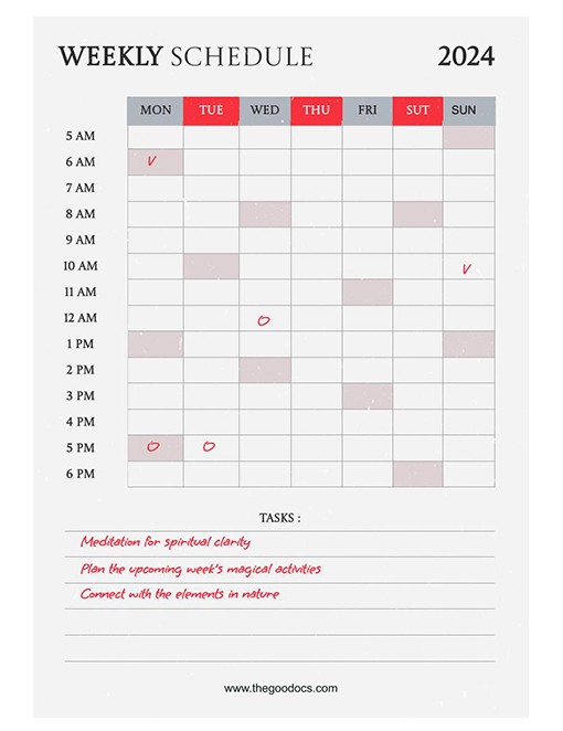 12 Audit Schedule Examples In Ms Word Google Docs