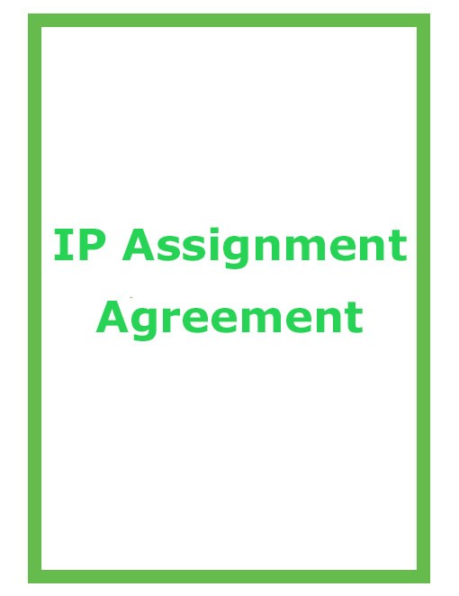 Free Intellectual Property Assignment Agreement Template in Google Docs ...