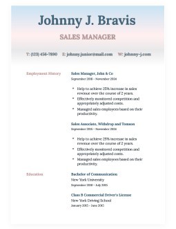 Free Sales Manager Resume Template in Google Docs and Microsoft Word ...