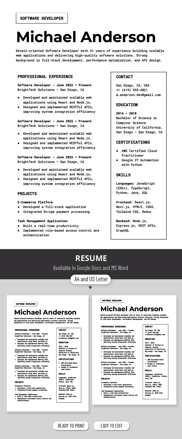 Free Software Developer Resume Template for 2026 Template in Google ...