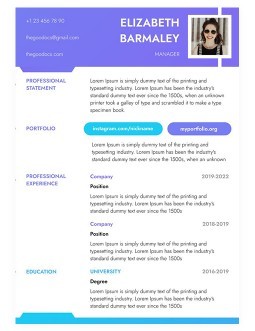 Free Stylish Tenant Application Resume Template In Google Docs