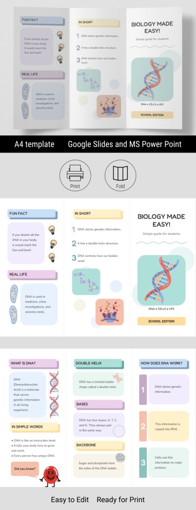 Free Biology Brochure Example for School Project Template in Google ...
